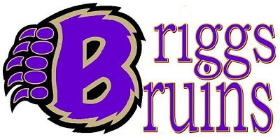 Local Level Events - Briggs High School Football vs Columbus ...