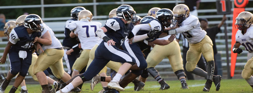 Local Level Events - Whetstone High School Homecoming Dance